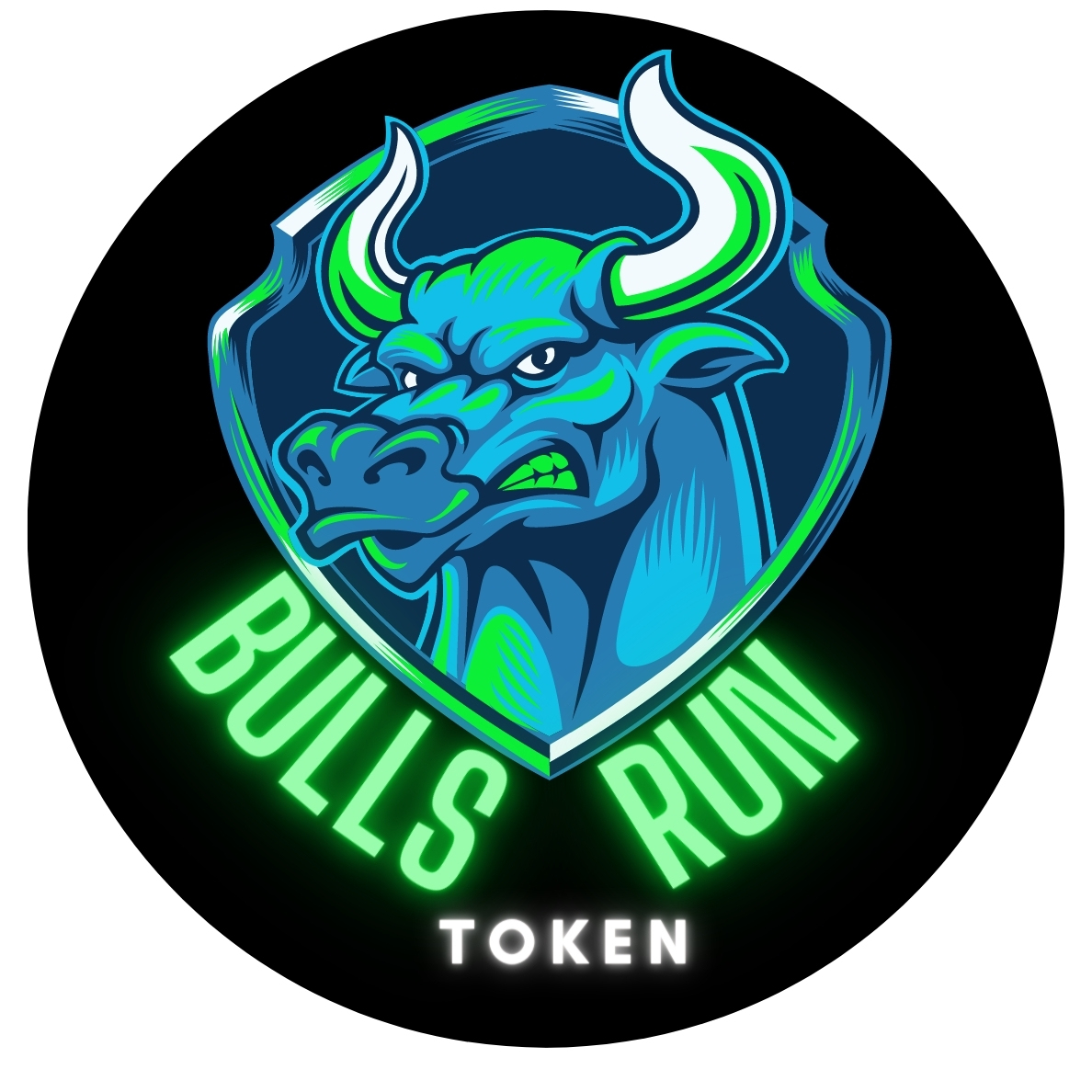 Bulls Run Token presale - How to buy Bulls Run Token