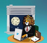 Lion CEO presale - How to buy Lion CEO