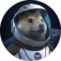 SpaceX Doge presale - How to buy SpaceX Doge