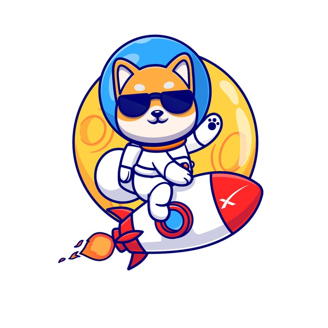DOGE X fairlaunch - How to buy DOGE X