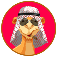 Habibi 2.0 presale - How to buy Habibi 2.0