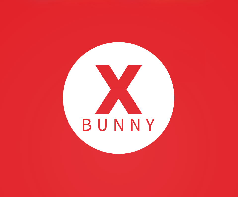 BunnyX fairlaunch - How to buy BunnyX