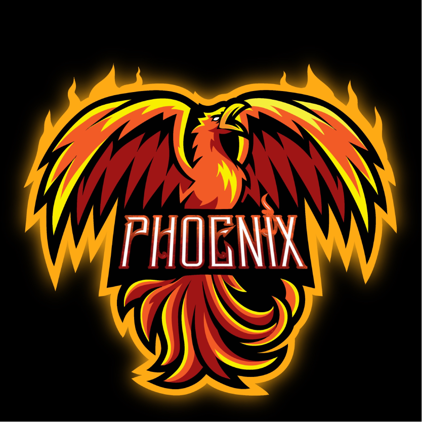 Phoenix Token presale - How to buy Phoenix Token