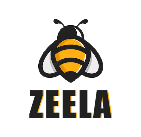 Zeela fairlaunch - How to buy Zeela