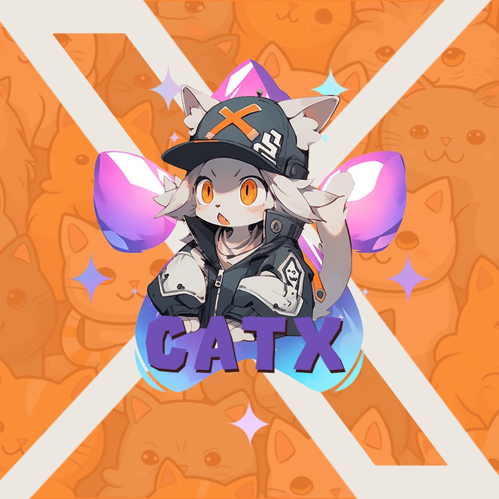 CatX fairlaunch - How to buy CatX