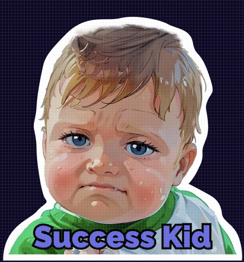 SuccessKid fairlaunch - How to buy SuccessKid