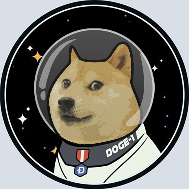 DOGE-1 fairlaunch - How to buy DOGE-1