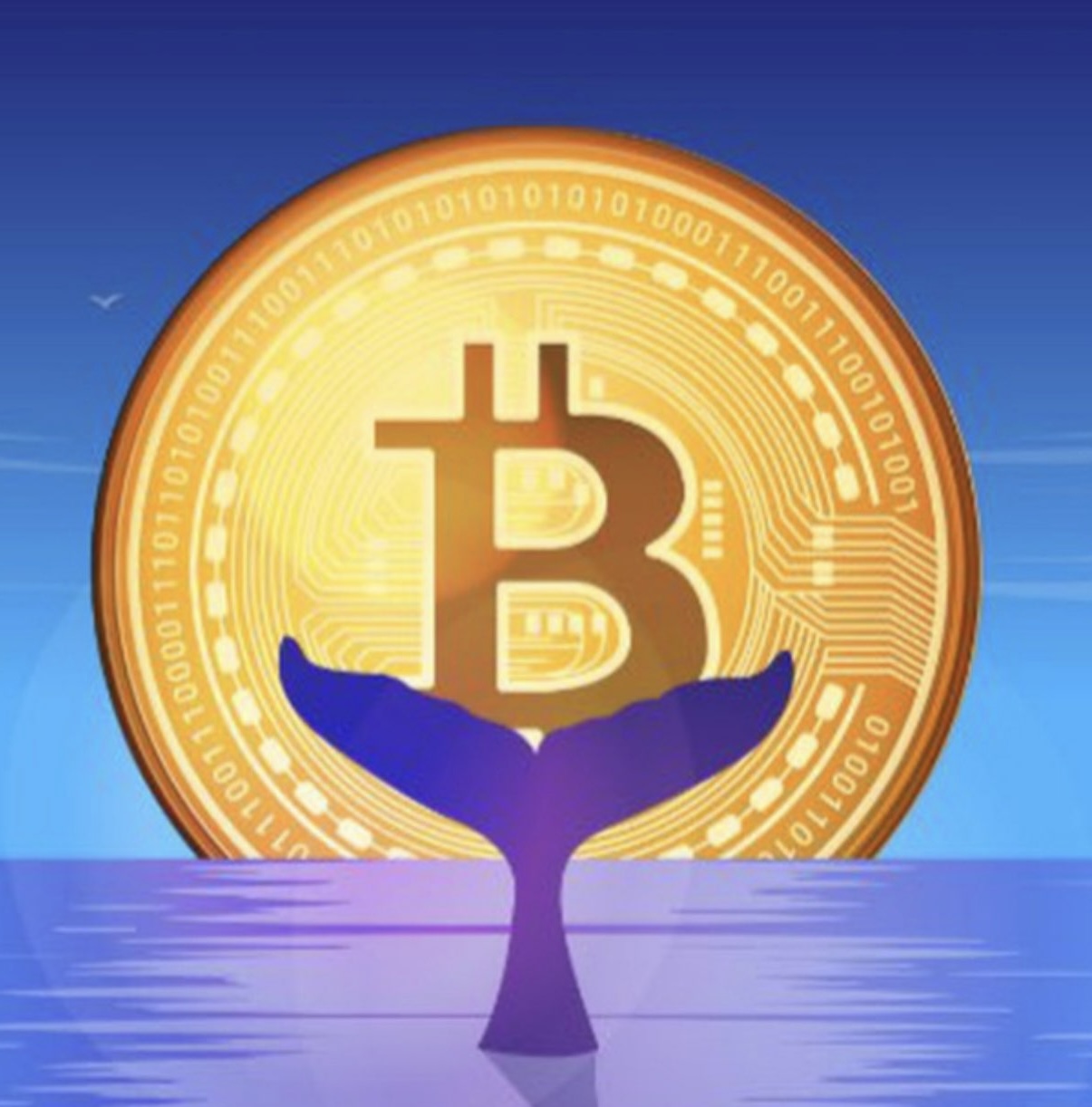 Crypto whales coin subscription - How to buy Crypto whales coin