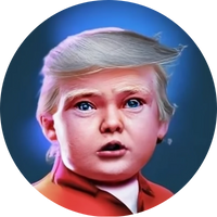 Baby Trump fairlaunch - How to buy Baby Trump