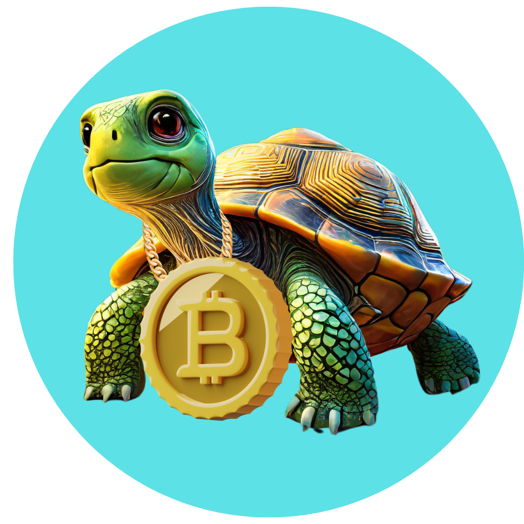Turtle Holds Bitcoin - How to buy Turtle Holds Bitcoin
