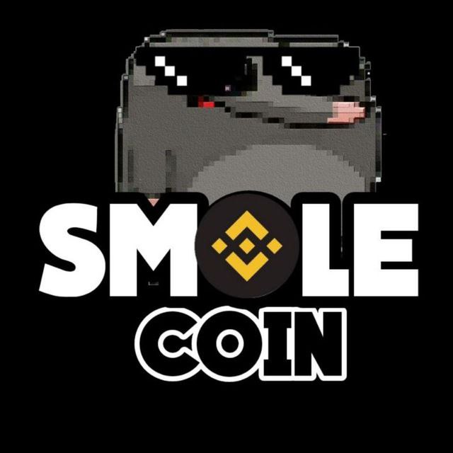SMOLE COIN BSC fairlaunch - How to buy SMOLE COIN BSC