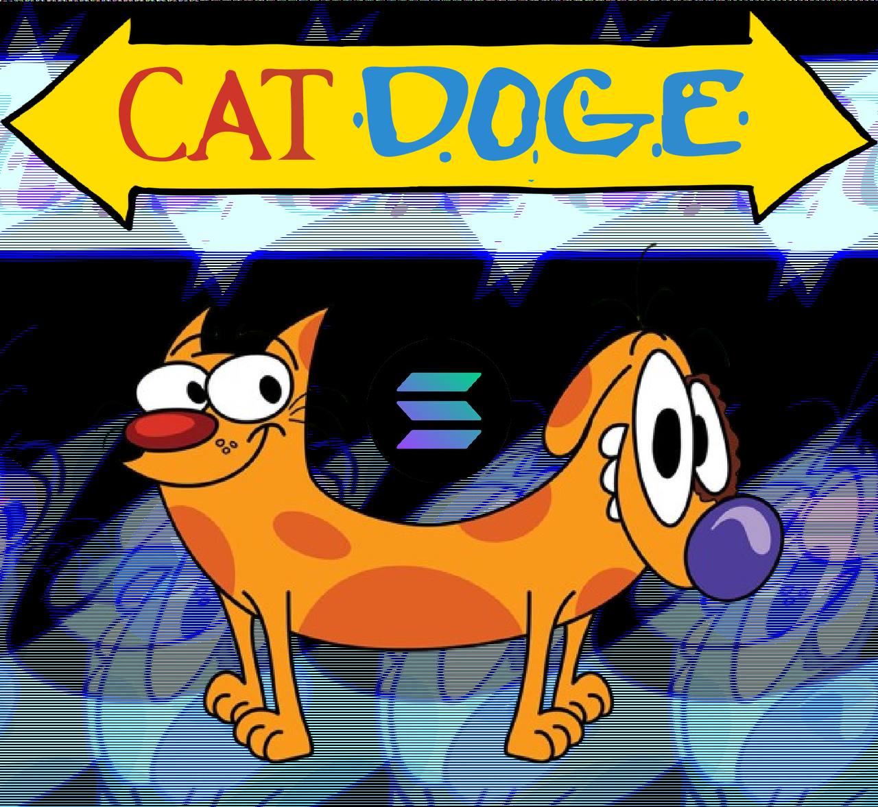 CATDOGE - How to buy CATDOGE