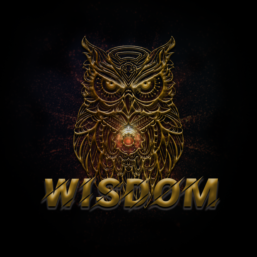 Wisdom Meme Token fairlaunch - How to buy Wisdom Meme Token