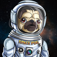 SPACE PUG - How to buy SPACE PUG