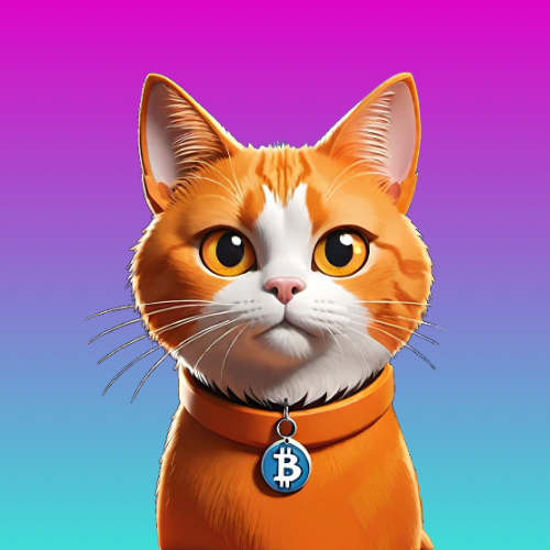 CAT BITCOIN - How to buy CAT BITCOIN