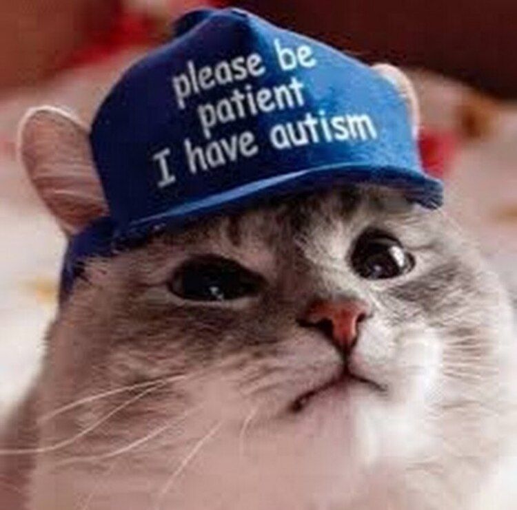 Autism Cat - How to buy Autism Cat