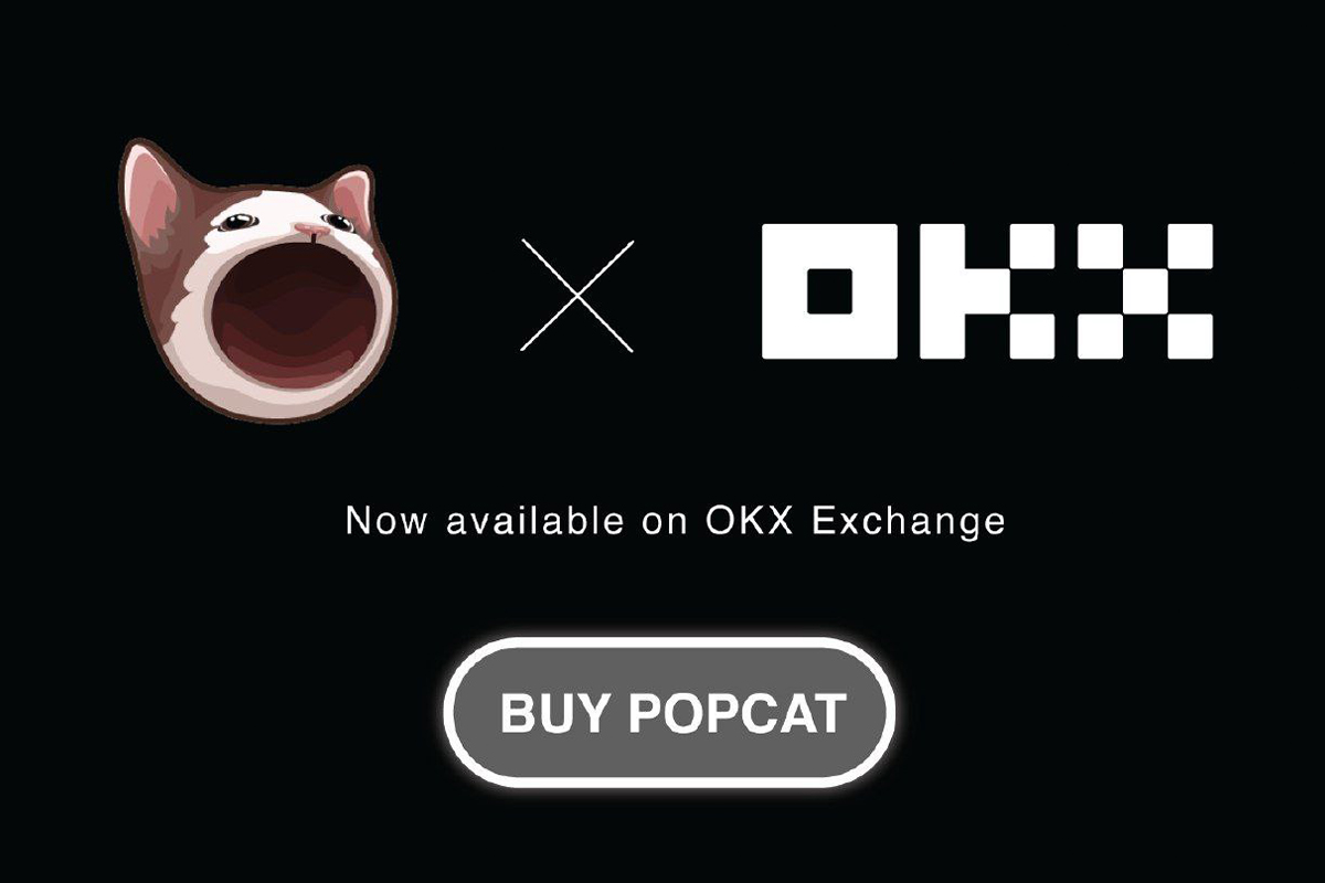 Baby PopCat - How to buy Baby PopCat