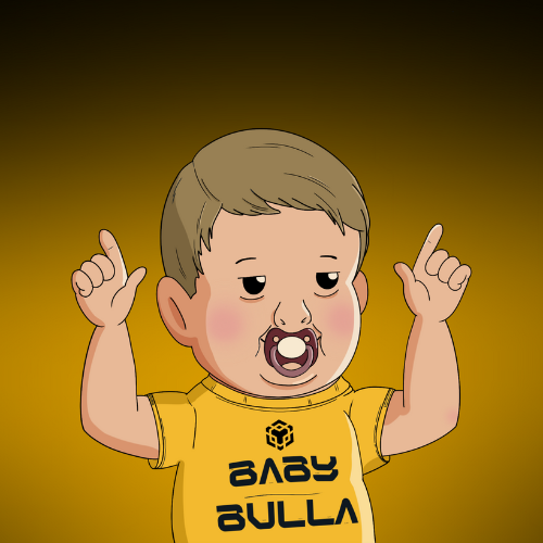 BabyBullaBSC presale - How to buy BabyBullaBSC